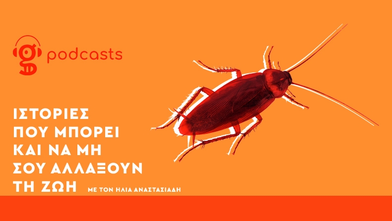 Η πιο ΤΡΟΜΑΚΤΙΚΗ ιστορία με κατσαρίδα στο Παγκράτι τα τελευταία χρόνια ...