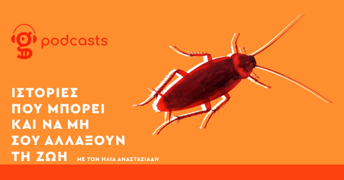 Η πιο ΤΡΟΜΑΚΤΙΚΗ ιστορία με κατσαρίδα στο Παγκράτι τα τελευταία χρόνια ...