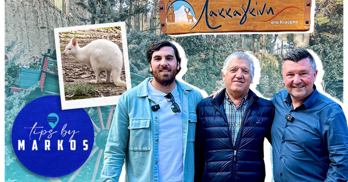 Tips by Markos: Φοβερό φαγητό στη φάρμα «Λακκαγκίνη» με το σπάνιο λευκό καγκουρό! | PLUS by gazzetta