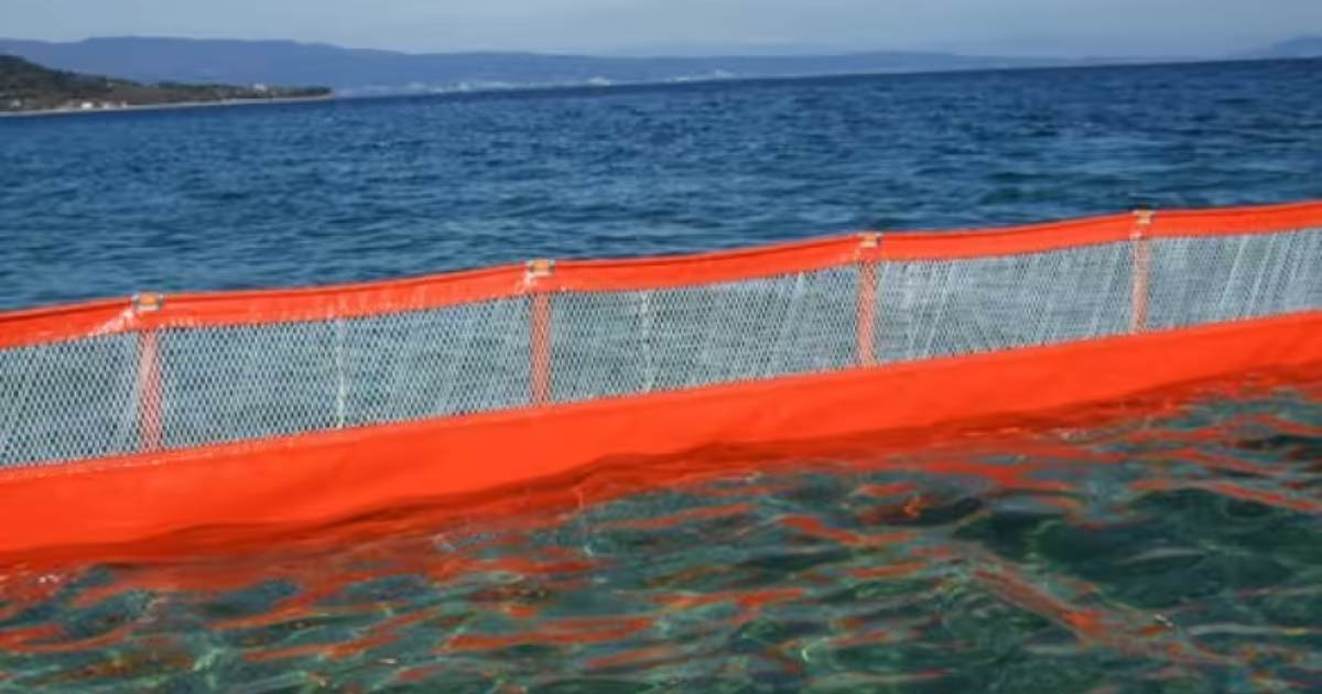 Στην Εύβοια έβαλαν φράγματα 10 χιλιομέτρων για τις μωβ μέδουσες: Οι ...